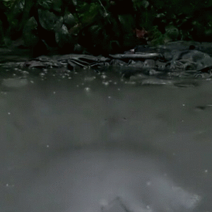 Lady in mud having fun | Shiny Sports