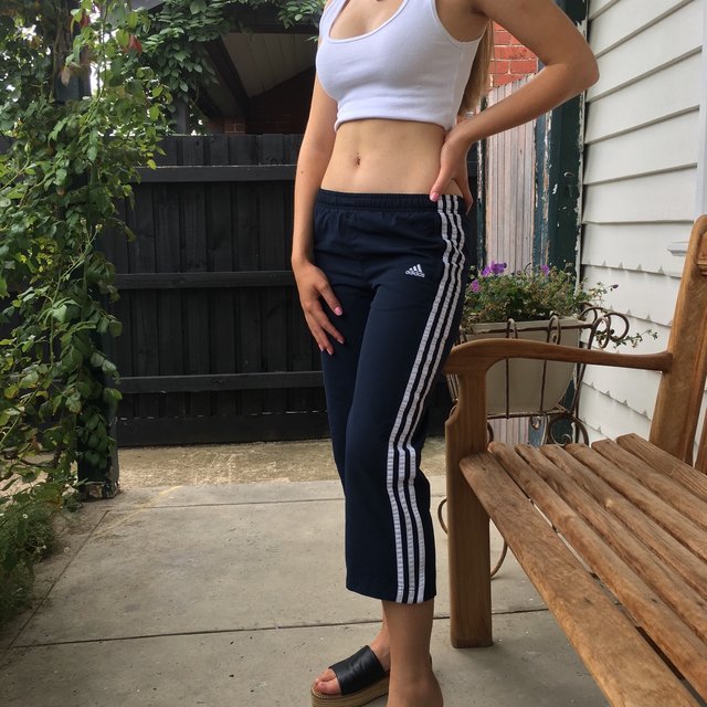 fP1.jpg | Shiny Sports